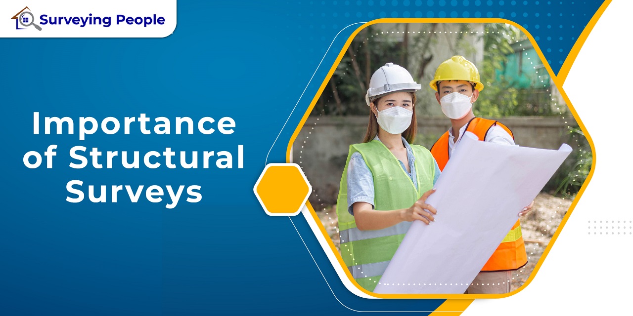 Importance of Structural Surveys-Surveying People