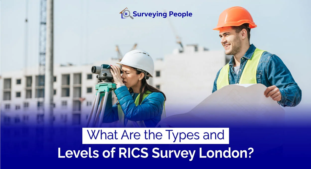 What Are the Types and Levels of RICS Survey London?