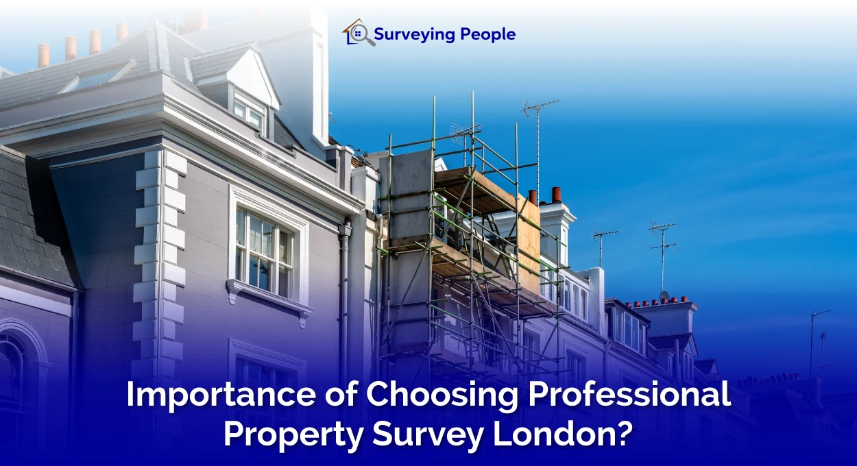 Importance of Choosing Professional Property Survey London
