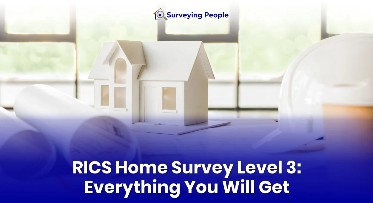 RICS Home Survey Level 3: Everything You Will Get